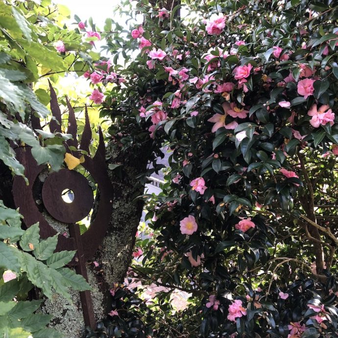 Garden Design Archives - Sienna Design