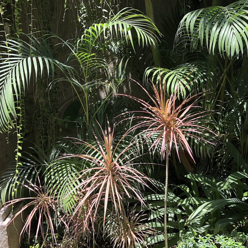 Inspiration in Your Garden - sienna design