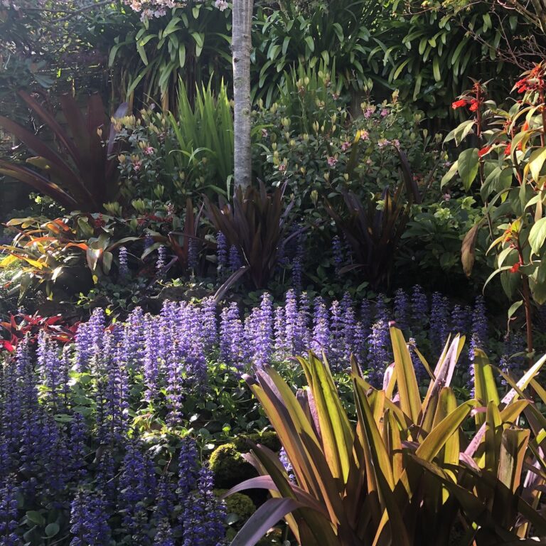 Garden Design Archives - Sienna Design
