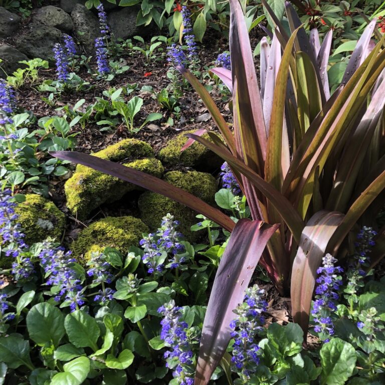 Inspiration in Your Garden - Sienna Design
